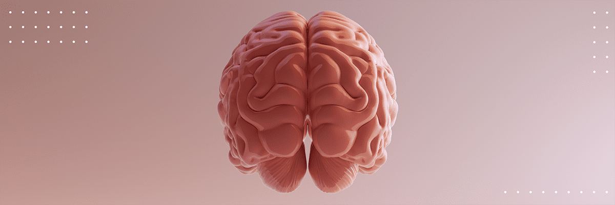 Computer Vision in Healthcare: AI Use Cases & Benefits